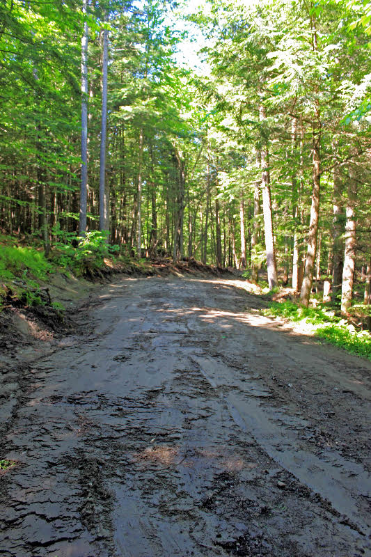 img-four – Hardwick Trails