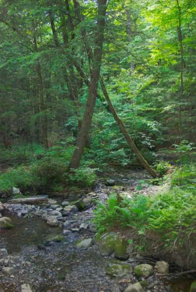 vertical-trails – Hardwick Trails